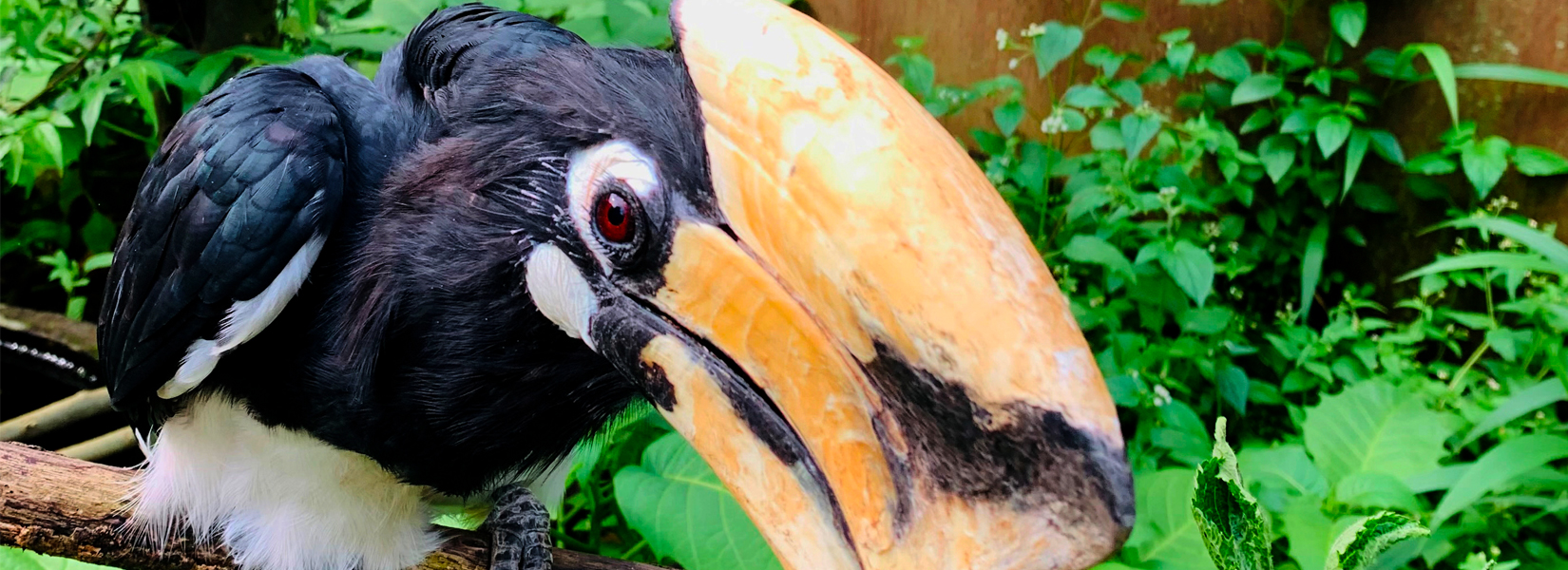 List of National Parks, Conservation Areas, Wildlife Reserves, and ...